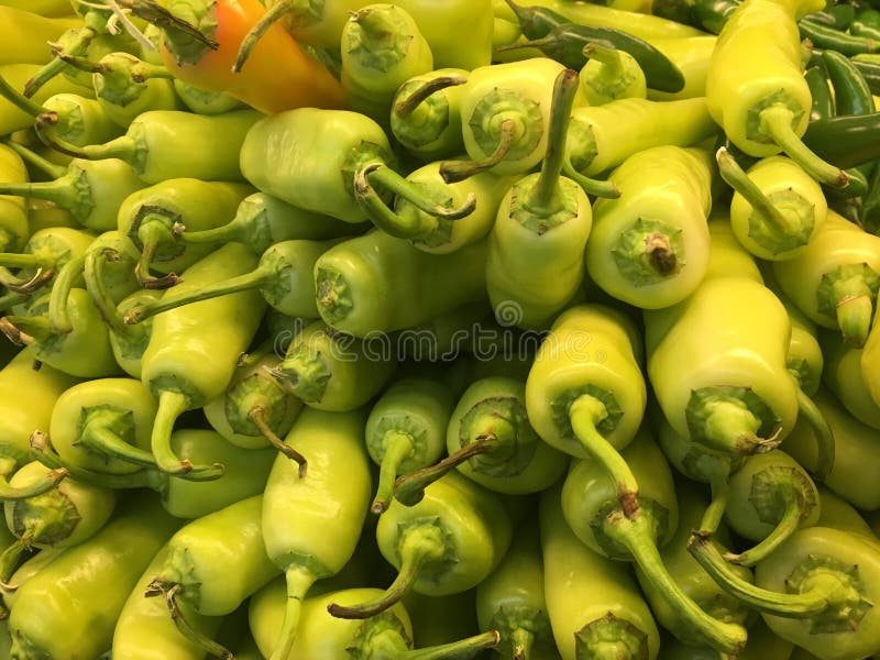 Chilli stock image. Image of green, mexican, chilli - 150316013