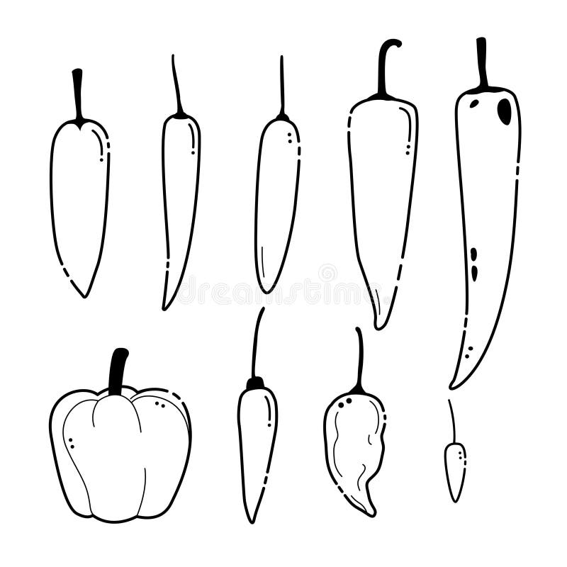 Chilli outline collection stock vector. Illustration of pepper - 269809080