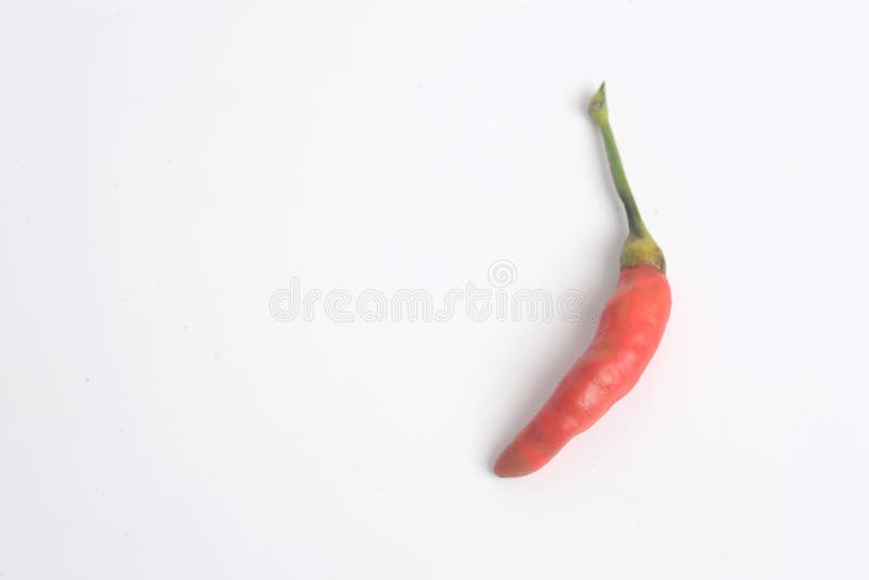 Chilli Padi, Bird`s Eye Chilli, Bird Chilli, Thai Pepper or Capsicum ...