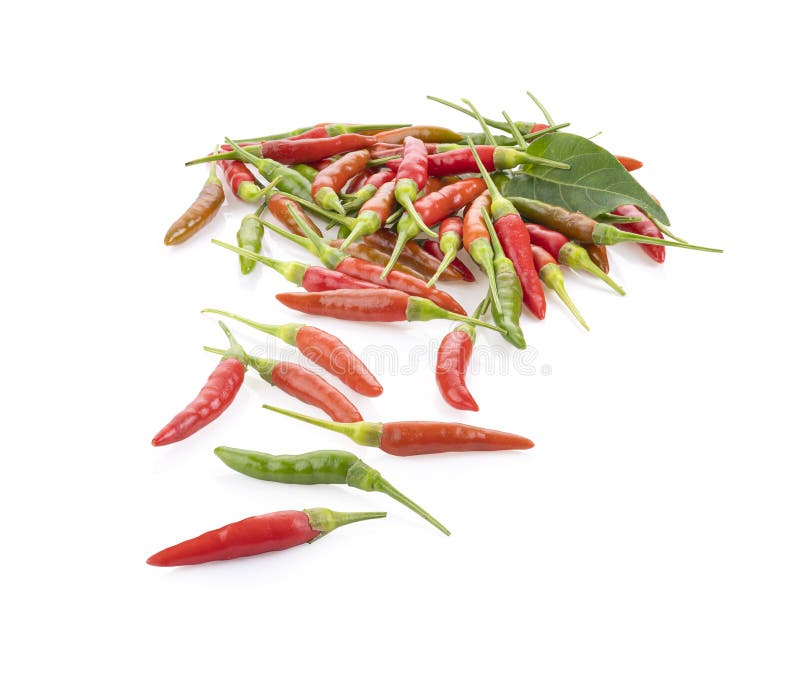 Chilli Padi, Bird Chilli on White Background Stock Photo - Image of ...