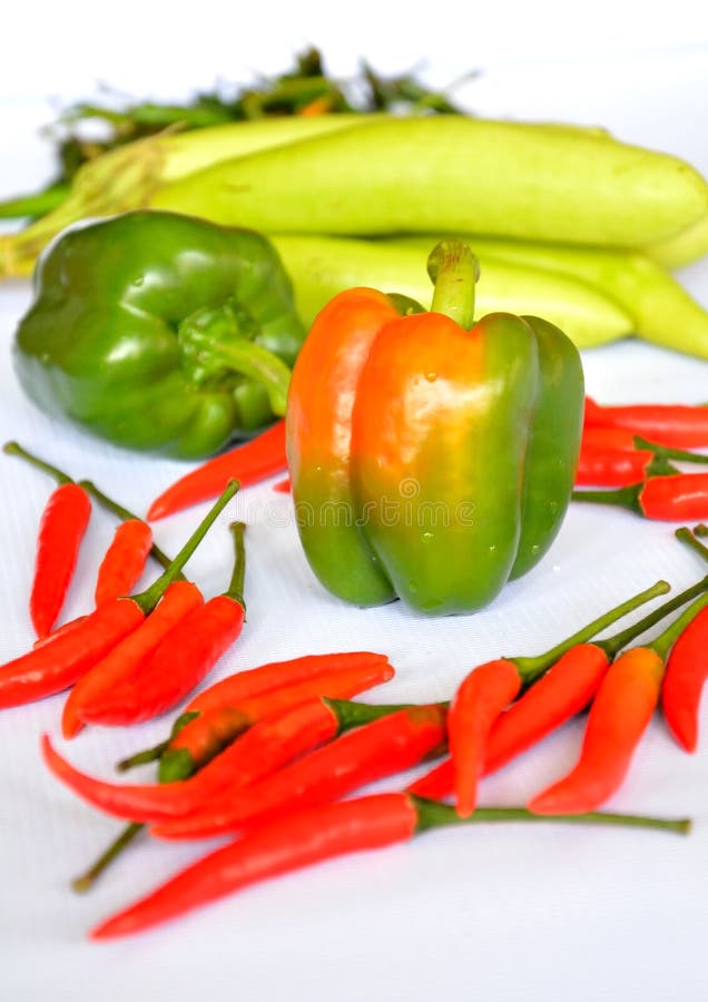 Chilli papper thai stock image. Image of used, vegetables - 38237635