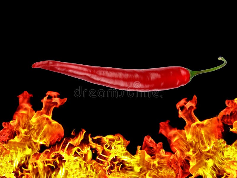 Flaming chilli pepper stock photo. Image of fire, vegetable - 10467006