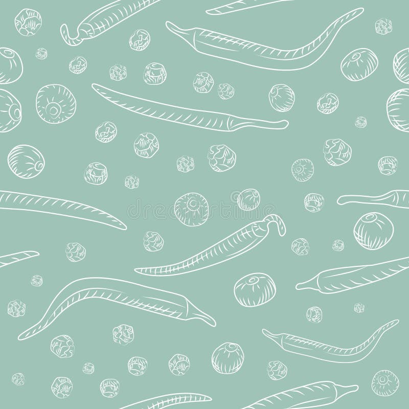 Chilli Pepper and Black Pepper Seamless Pattern. Engraving Vintage ...