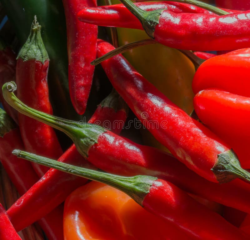 Chilli Pepper, Different Types and Colors, Close-up Photography Stock ...