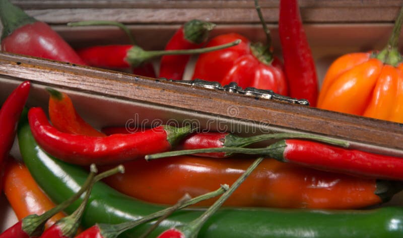 Chilli Pepper, Different Types and Colors, Close-up Photography Stock ...