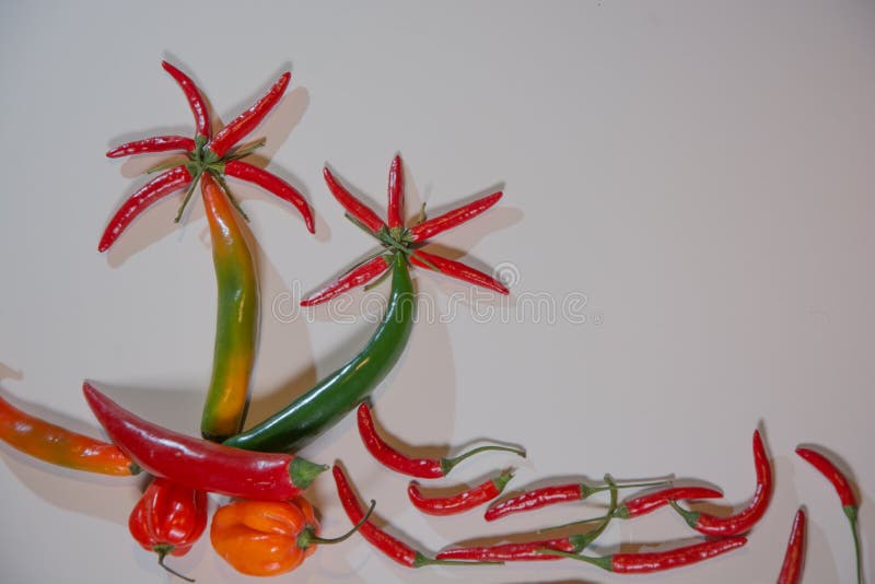 Chilli Pepper, Different Types and Colors, with Copy-space and White ...