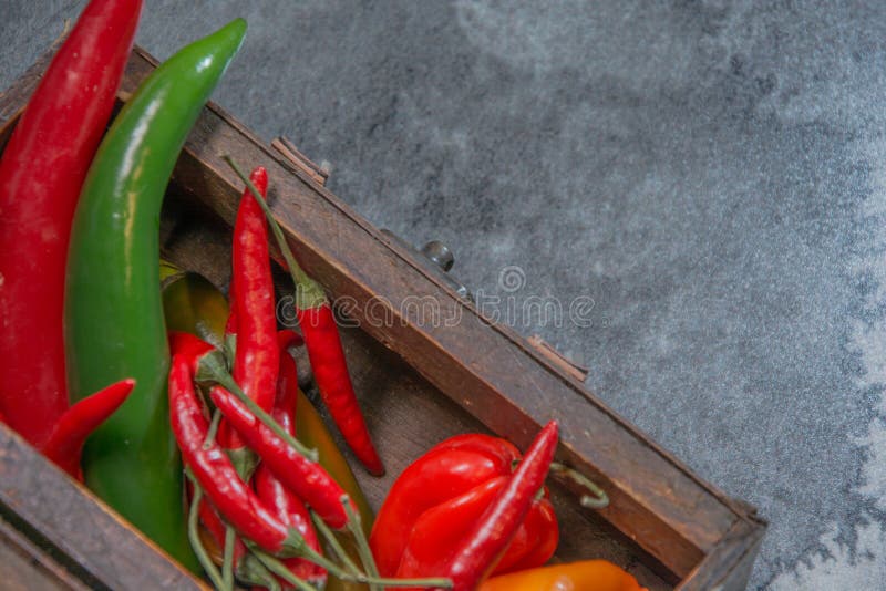 Chilli Pepper, Different Types and Colors, on Gray Background Stock ...