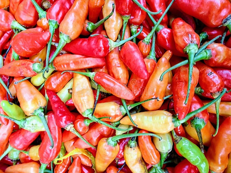 Chilli Pepper Red Green Colour Texture Background Stock Image - Image ...
