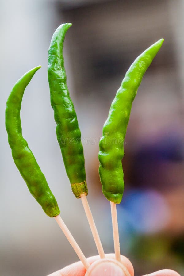 Chilli Pepper on Sticks in Kolkata, Ind Stock Image - Image of grilled ...