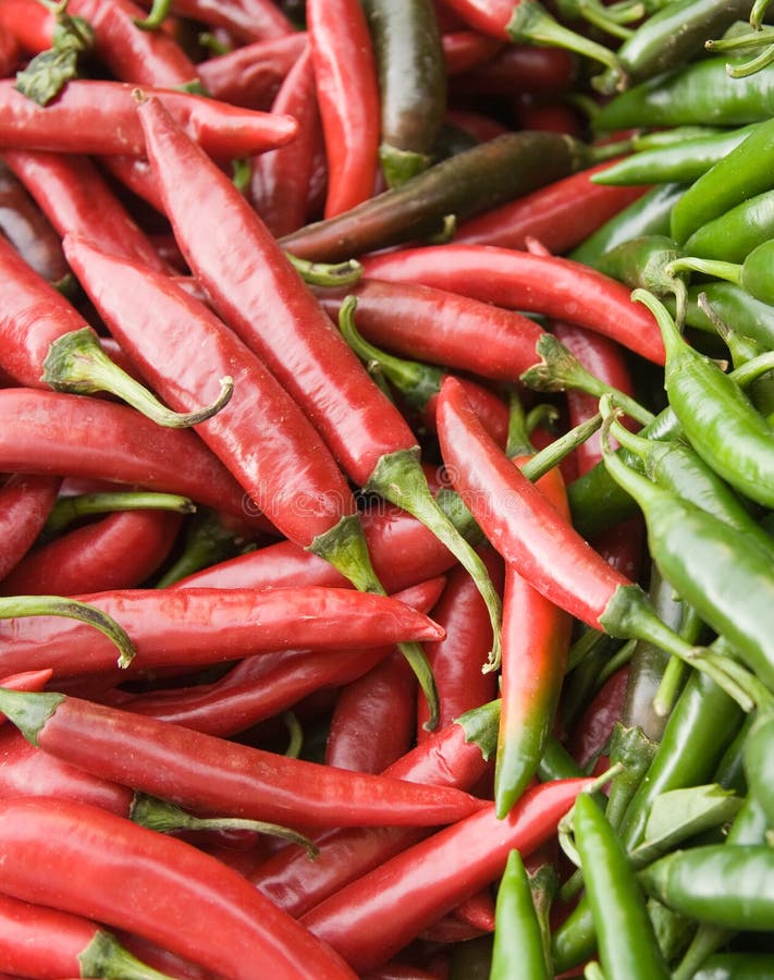 Chili peppers stock image. Image of italy, colour, chili - 624133