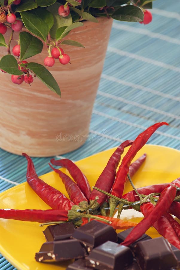 Chilli Peppers, Chocolate and Gaultheria Plant Stock Image - Image of ...