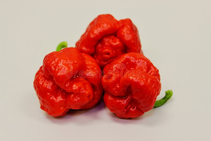Chilli peppers stock image. Image of green, isolated - 76408189