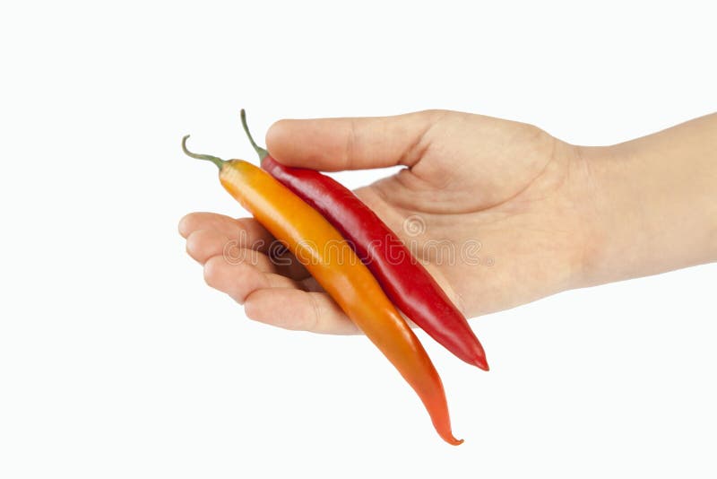 Chilli peppers in hand stock image. Image of mexican - 27014833