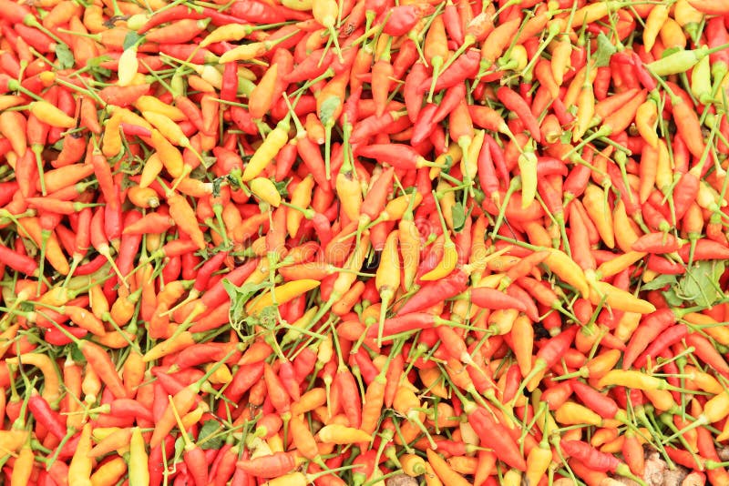 Chilli stock image. Image of market, vegetable, paprikas - 85890679