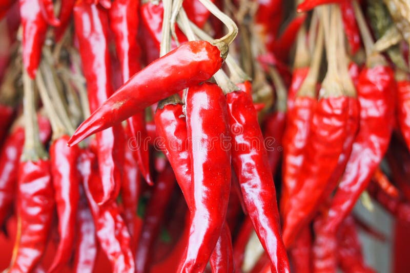 Chilli red stock photo. Image of macro, capsicum, pile - 42350146