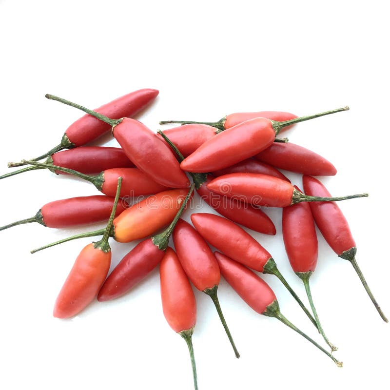 Chilli stock image. Image of spicy, fruit, condiment - 72046103