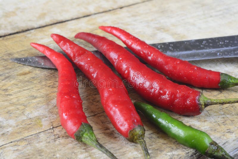 Chilli on a sharp knife. stock image. Image of genus - 79670323
