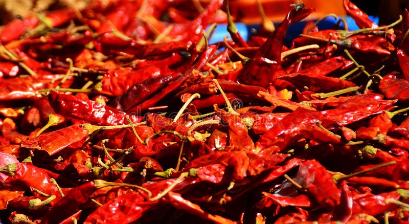 Chilli stock photo. Image of market, cayenne, culinary - 39496820