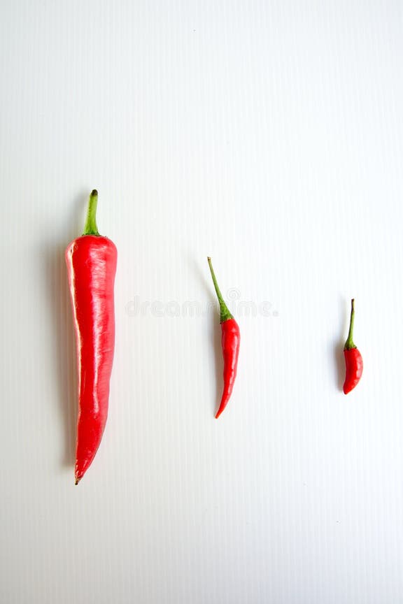 Chilli stock image. Image of spice, sizes, chili, food - 67332749