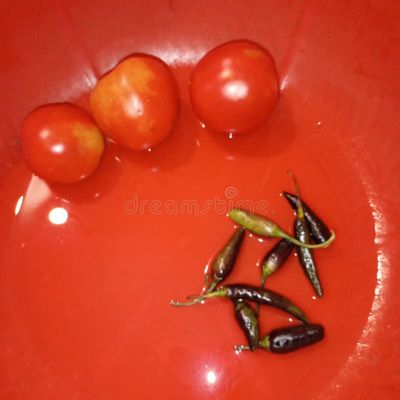 Chilli and Tomato in the Bowl and I Will Made Challad Stock Image ...