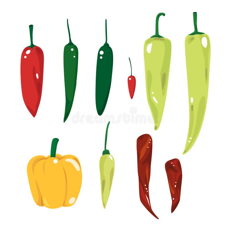 Chilli collection stock vector. Illustration of pepper - 269809096