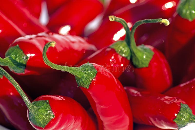 Red Chillies stock image. Image of seasoning, spice, exotic - 37627
