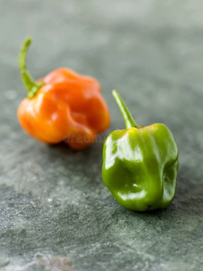 Chillies stock image. Image of flavour, chillies, drink - 186458047