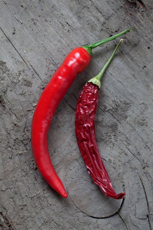 Chillies stock photo. Image of condiment, cooking, dried - 20999220