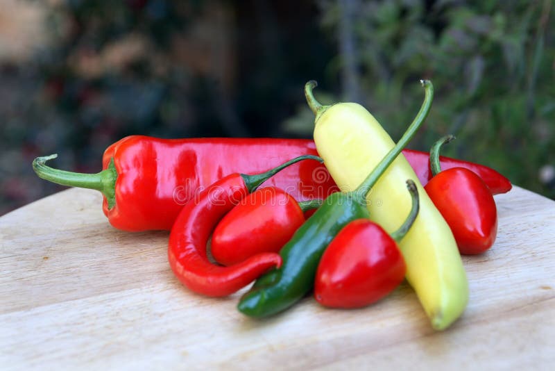 Chillies stock image. Image of still, green, vegetarian - 2271219