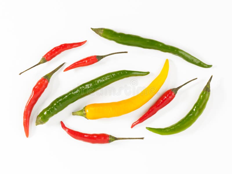 Chillies stock image. Image of fruit, chili, closeup - 129282121