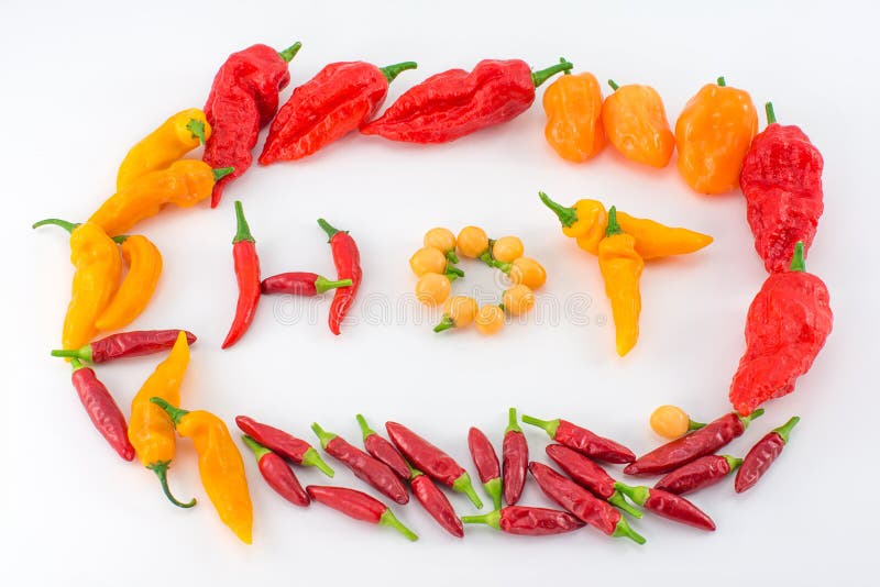 Bhut Jolokia - Chilli Snake Stock Image - Image of peppers, isolated ...