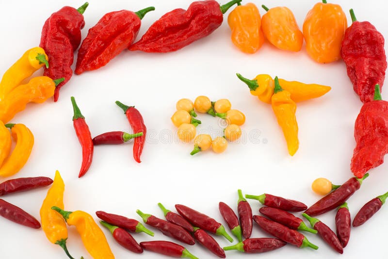 Bhut Jolokia - Chilli Snake Stock Image - Image of peppers, isolated ...