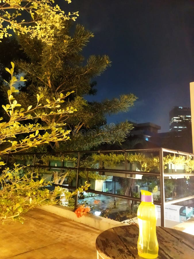 Chilling view at night editorial photography. Image of city - 264782707