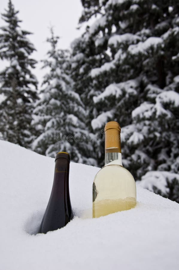 Chilling Wine stock photo. Image of chilling, cool, grapes - 23423628