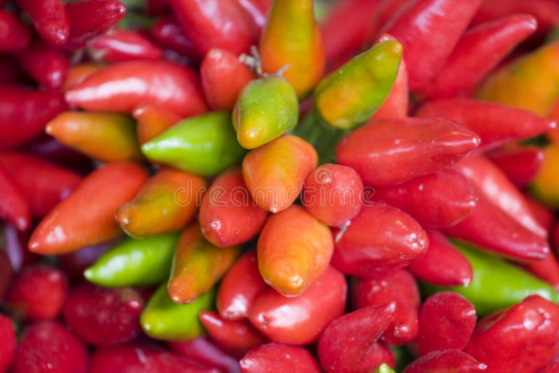 Chillis stock photo. Image of healthy, organic, macro - 11812268