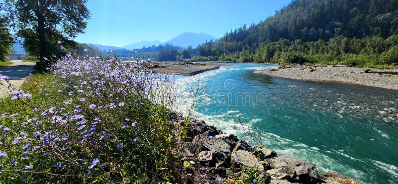 119 Canada Vedder River Stock Photos - Free & Royalty-Free Stock Photos ...