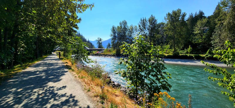 Chilliwack Bc, Canada Vedder River Stock Image - Image of forest, trail ...