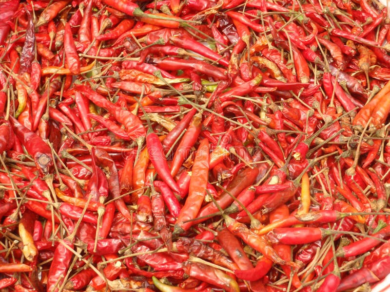 Chilly stock image. Image of dried, thai, tropical, thailand - 25679621