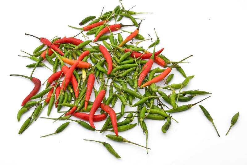 Pepper stock photo. Image of white, black, nigrum, costa - 5802042