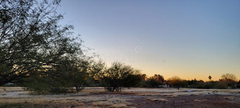 Chilly and Frosty Morning in Phoenix, AZ Stock Photo - Image of grass ...