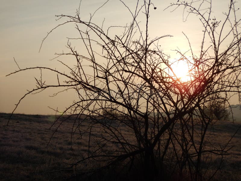 Chilly Morning in an Autumn Nature Stock Photo - Image of beautiful ...