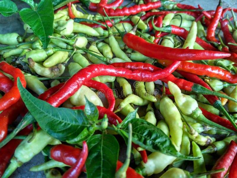 Chilly peppers stock image. Image of grey, cayenne, flavor - 94960443
