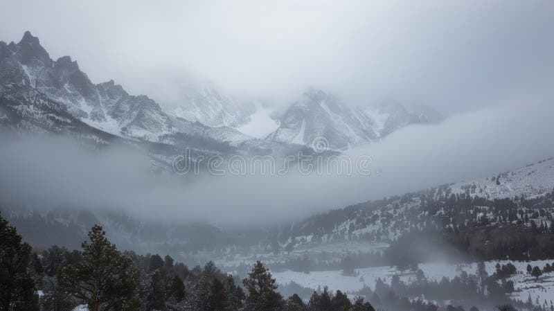 Chilly Temperatures and Low Visibility As the Fog Moves Over the Rugged ...