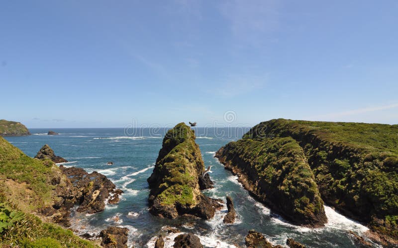 Chiloe Island, Chile stock photo. Image of fjord, archipelago - 246869226