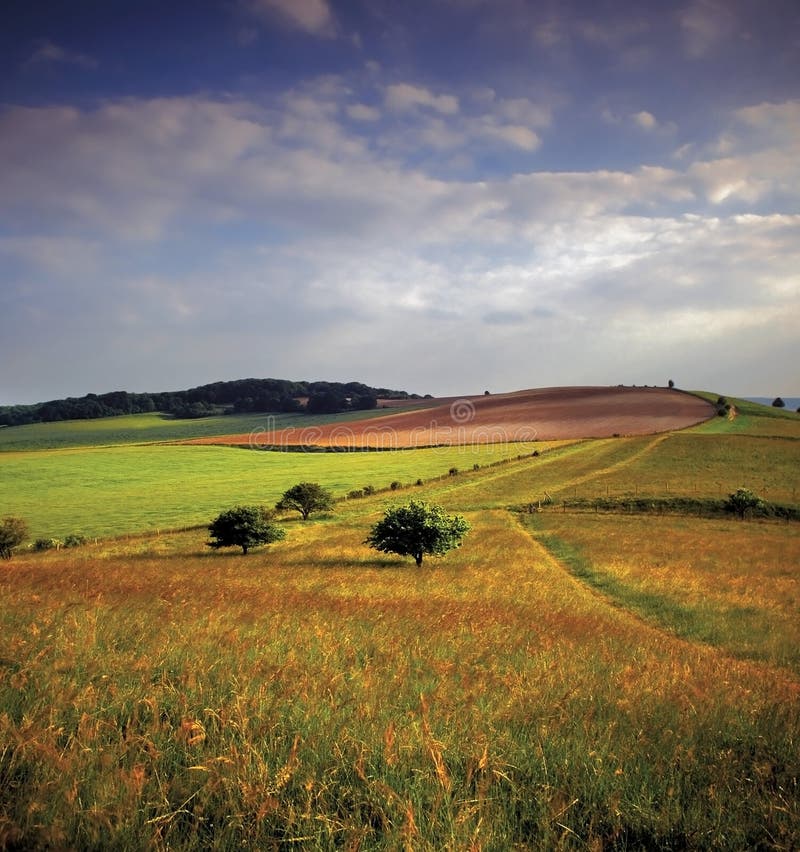 The Ridgeway Path Through Bluebell Wood Pitstone Hill The Chilterns ...