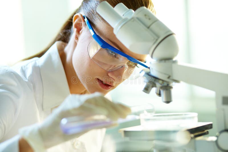 Chimiste De Laboratoire En Travaillant Avec Le Microscope Et Tubes ...