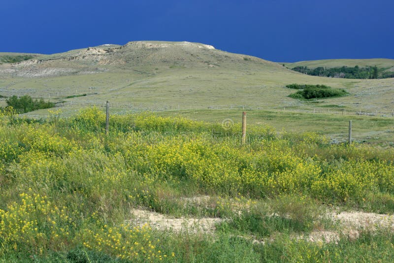 Chimney Coulee Landscape stock photo. Image of yellow - 10546058