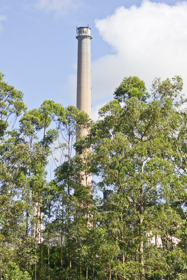 Chimney in the forest stock photo. Image of nature, factory - 77304934