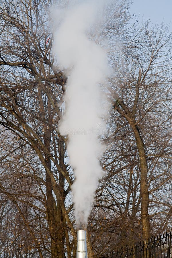 Chimney Smoke Over the Trees Stock Photo - Image of pollution, detail ...