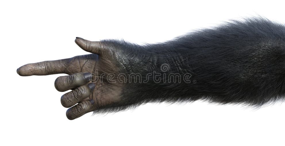 Chimp Hand Stock Illustrations – 1,602 Chimp Hand Stock Illustrations ...
